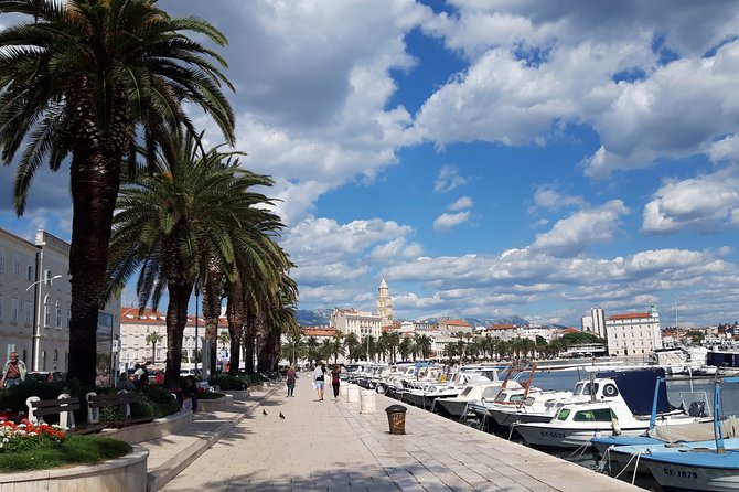 SPLIT-PRIVATE Emperor's Walk for History Lovers + Cellars Museum - Final Thoughts