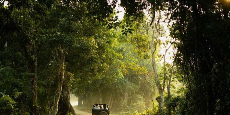 Sri Lanka: 2-Day wildlife tour; rainforest and National park - Final Thoughts: Is it Worth It?