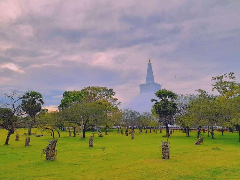 Sri Lanka: 4-Day Private Tour Focusing on Cultural Triangle - Who Will Love This Tour?