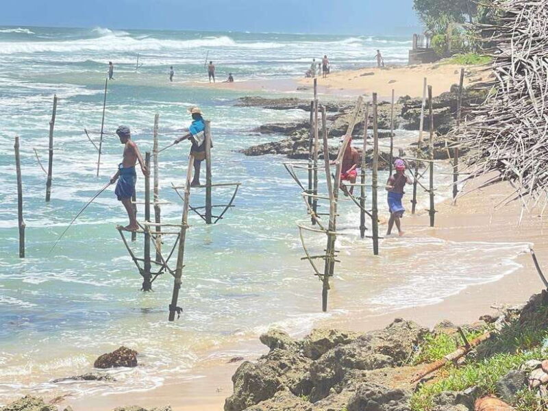 Sri Lanka: 5-Day Cities and Nature Round Tour from Colombo - Pricing and Value