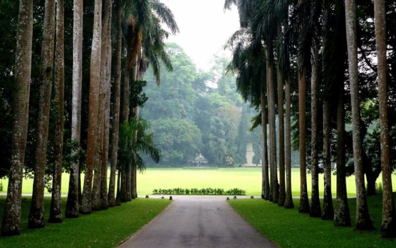 Sri Lanka hill country bless Kandy, Nuwara eliya and Ella - Final Thoughts
