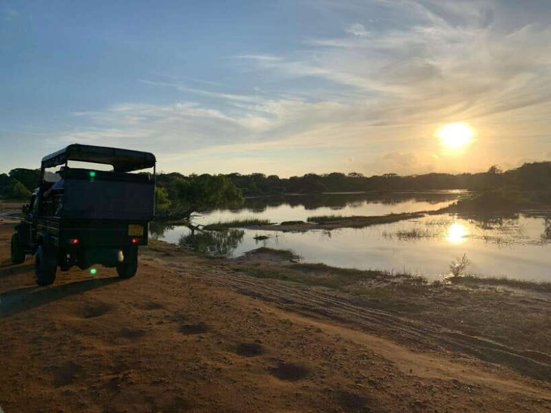 Sri Lanka: Sigiriya, Dambulla, and Minneriya Private Tour - The Practicalities: What to Expect and How to Prepare