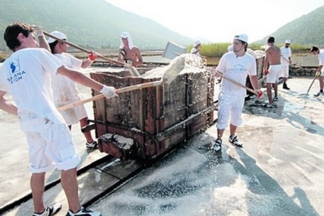 Ston Tour: City Walls, Saltworks, Wine & Adriatic Seafood - The Sum Up