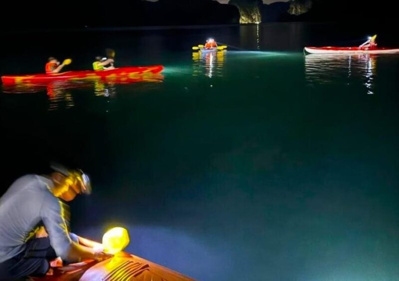 Sunset and Magical Bioluminescence plankton Night Kayak Tour - In-Depth Look at the Cost and Value