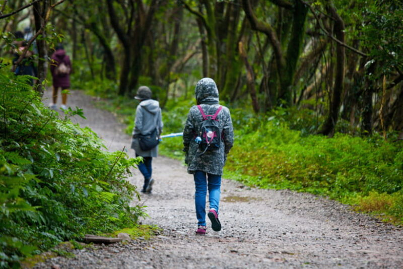 Taipei: Yangmingshan, Shifen, Jiufen & Yehliu Private Tour - Who Will Love This Tour?