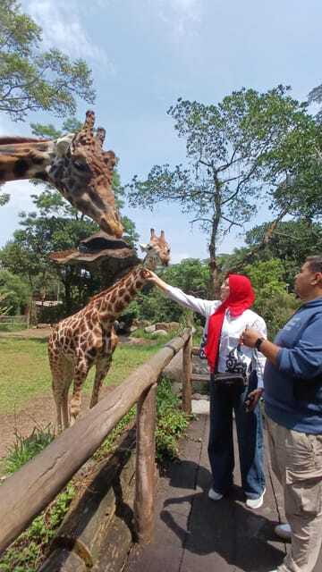 Taman Safari and Tea Plantation Tour at Puncak - The Sum Up