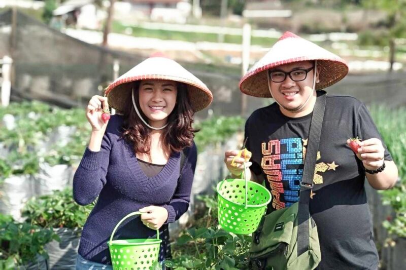 Tangkuban Perahu Crater Tour from Bandung - The Sum Up: An Authentic Indonesian Day Out