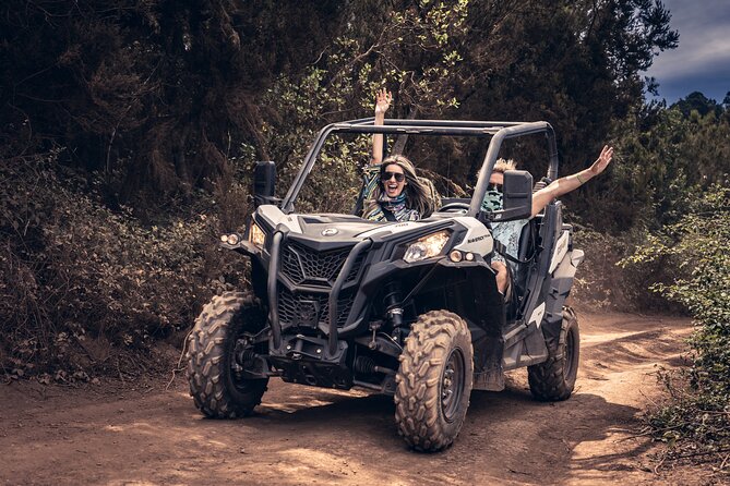 Tenerife Guided Buggy Discovery Tour Around Mount Teide - Who Should Consider This Tour?