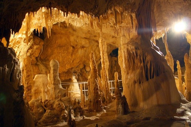 The Bear's Cave - One-Day Air conditioned car Tour from Oradea - The Sum Up