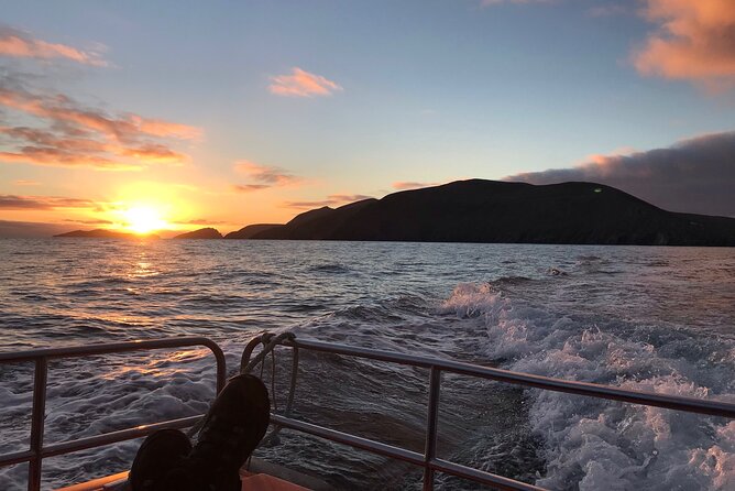 The Great Blasket Island Experience - Premium Tour - The Sum Up