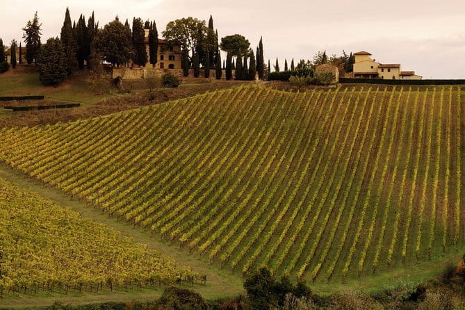 The Medici Family in Florence: a history of money, power and gossip! - The Sum Up: Is This Tour Right for You?