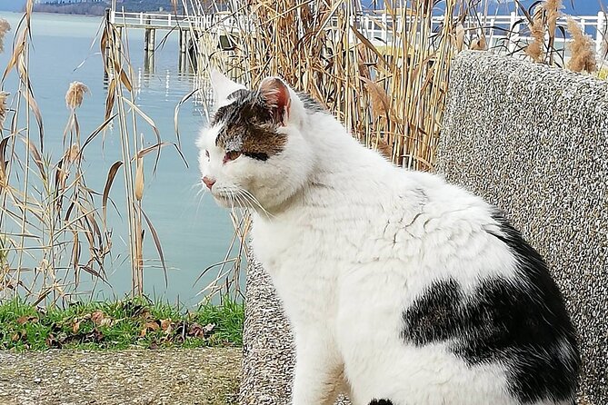 The spell of Lake Trasimeno - Trekking Tour - Practical Tips for Travelers