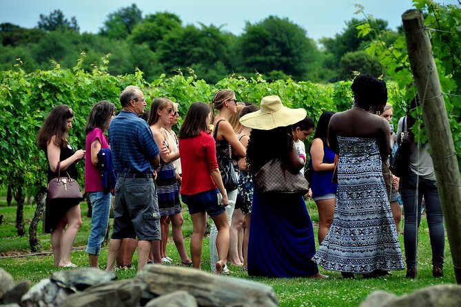Tour of the Etna cellars, typical lunch and wine tasting - FAQ