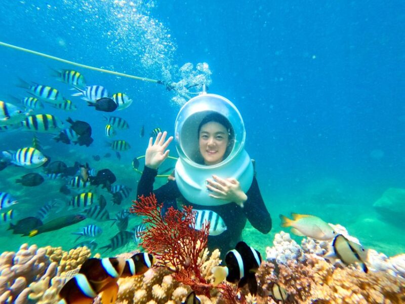 Tour Sea-Walking Nha Trang - Why This Tour Might Be Worth It