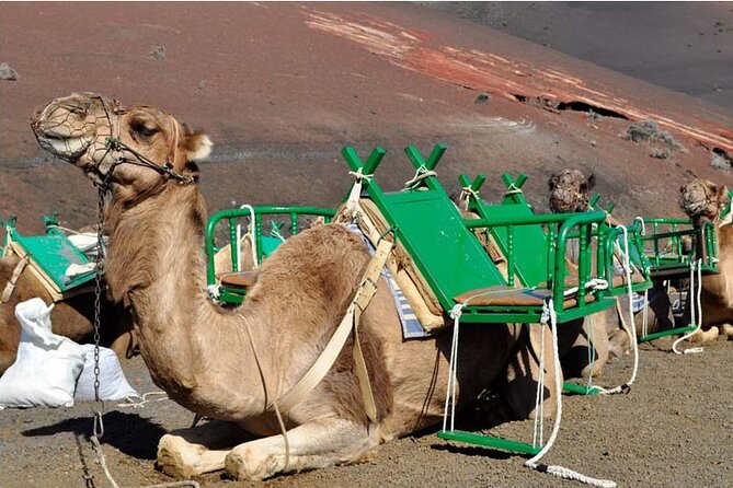 Tour to Timanfaya, Jameos del Agua, Cueva de los Verdes and viewpoint from the cliff - Unique Landscapes: Green Lagoon and Camel Ride