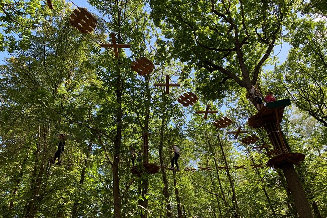 Tree Top Adventure in Forest of Meudon - Analyzing the Value