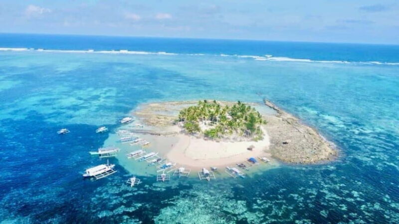 Tri island tour: Naked Island, Daku Island and Guyman Island - Who Will Love This Tour?