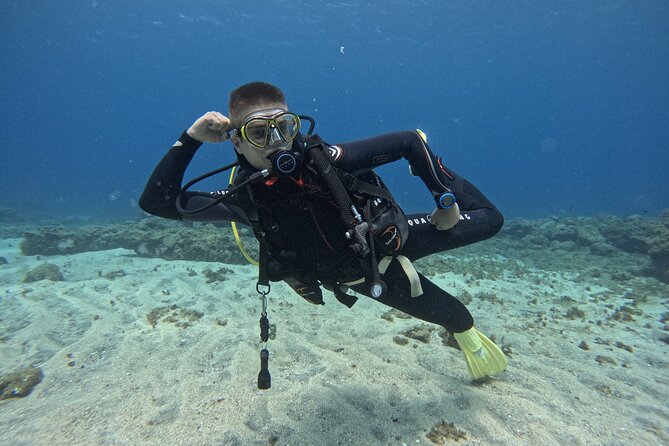 Try Dive in Abades Bay with a private instructor - The Sum Up