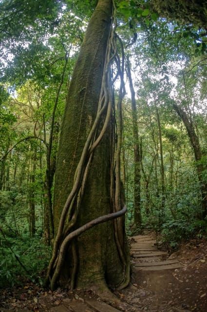 Two days Doi Inthanon national park - Practical Tips for Participants