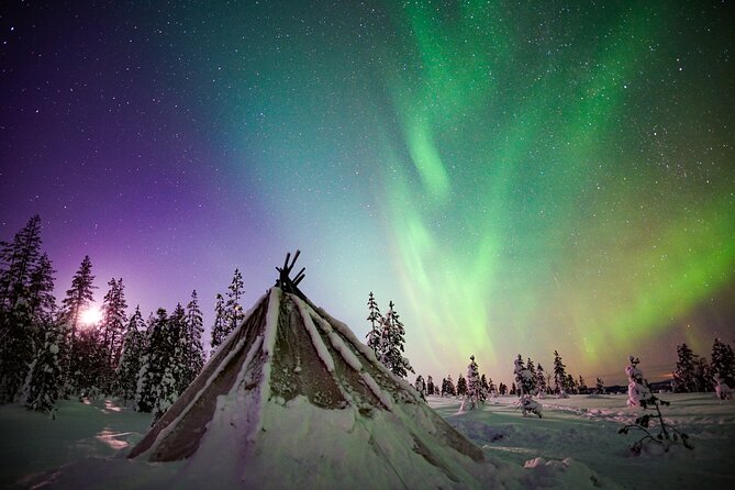 Two Full Days in Lapland - Final Thoughts
