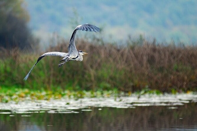 Two Hours Sightseeing Lake Cruise at Montenegro National Park - Final Thoughts