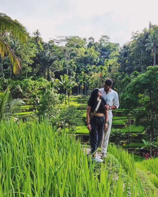 Ubud Bali: Half Day Tours - The Experience in Context