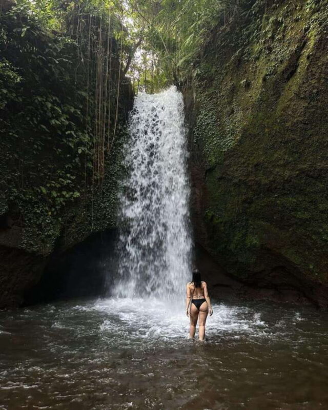 Ubud: Discover Hidden Waterfalls with Swing & Rice Terrace - Analyzing the Value