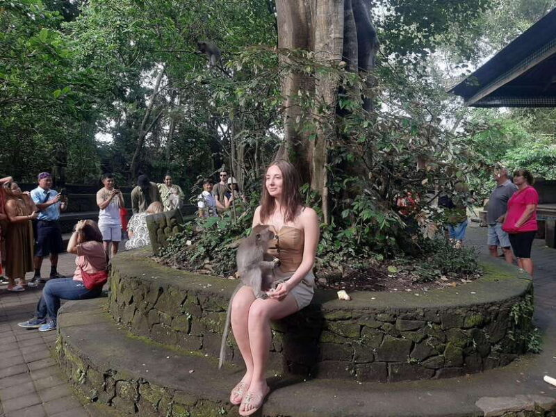 Ubud: Monkey Forest, Rice Terrace, and Waterfall - Who Will Love This Tour?