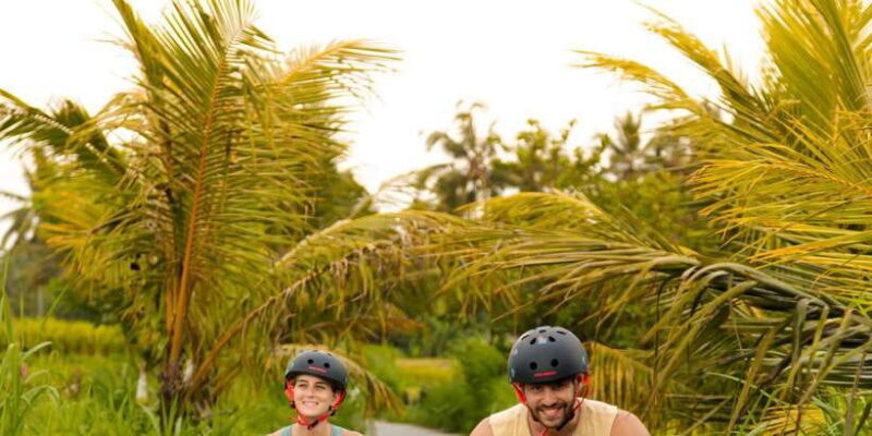 Ubud Rice Terrace & Villages E-Bike Tour by Alasan Adventure - Who Should Consider This Tour?