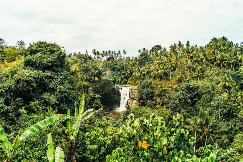 Ubud: Spectacular Waterfalls Tour - FAQ