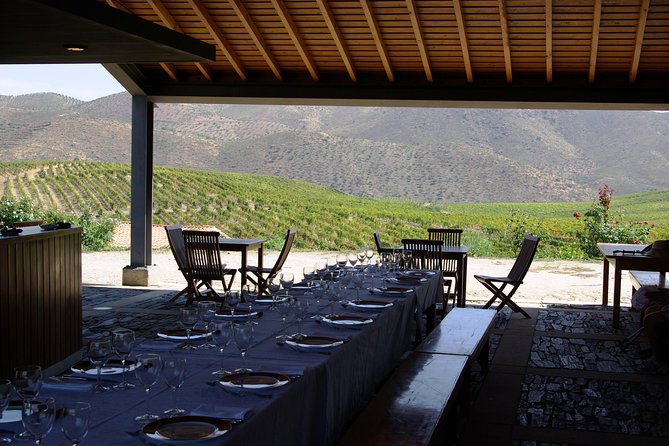 Upper Douro Walk & WineTour - Who Should Consider This Tour?