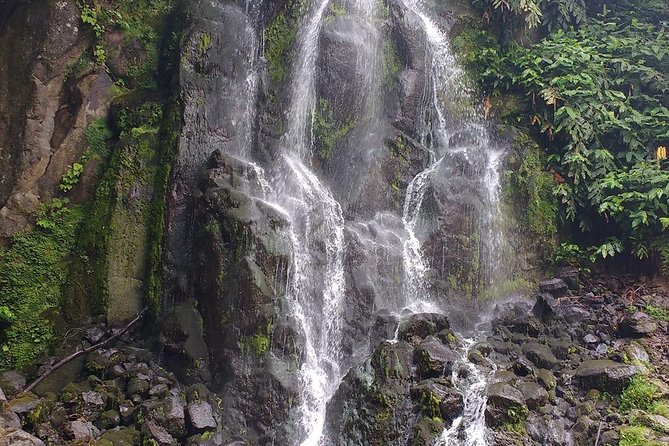 Van  Scenictour  Nordeste / Povoação  Full Day/ with lunch (Shared) - Authentic Experiences and Genuine Impressions