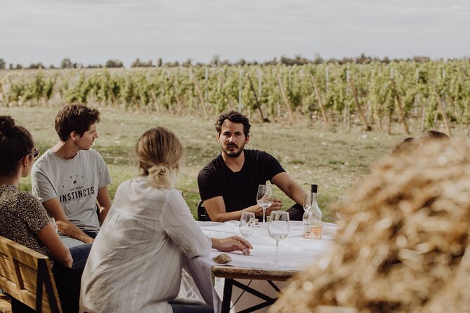 Vineyard tour and wine tasting in Davron - Who Will Enjoy This Tour?