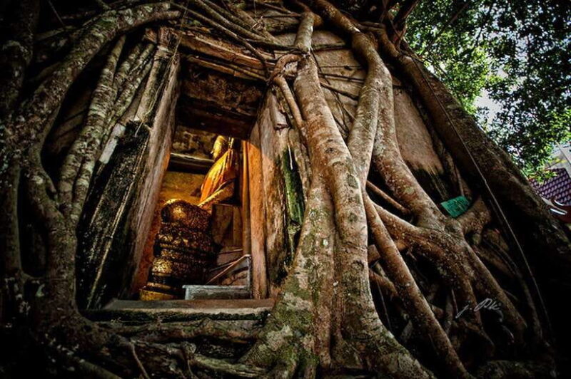 VIP Private Group Tour to the Iconic Thailand's Markets - Practical Details: What to Expect