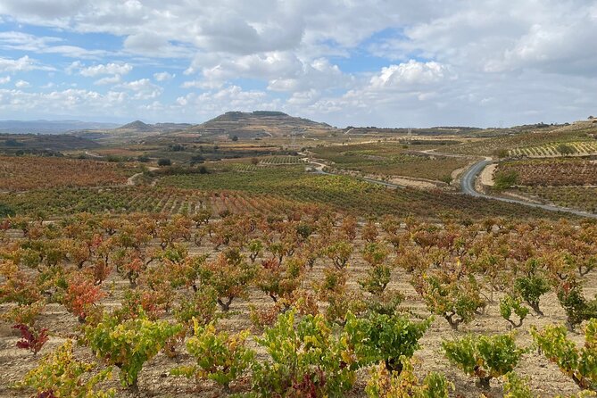 Visit of Marques de Riscal & Boutique Winery from Bilbao - FAQ