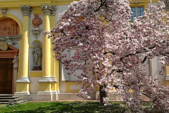 Walking Audio Tour of Wilanów Palace Grounds - The Sum Up: Who Should Consider This Tour?