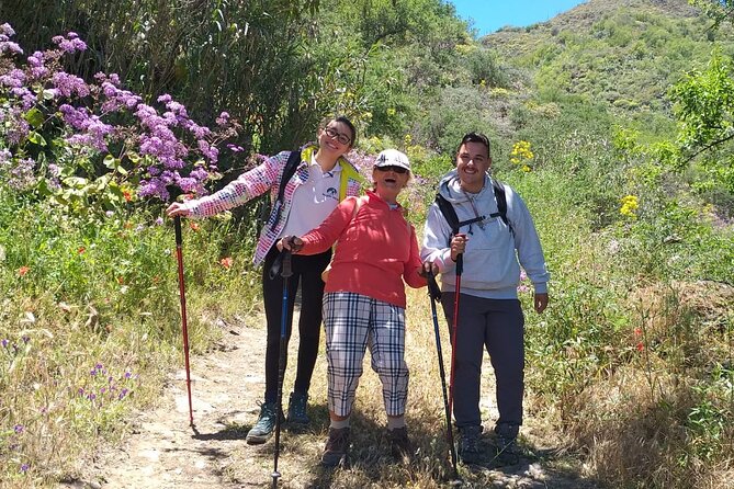 Wanderungen im grünen Gran Canaria - Authentic Reviews and What They Reveal