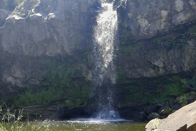 Waterfalls Hike, Moinho do Felix with tea plantation - The Sum Up