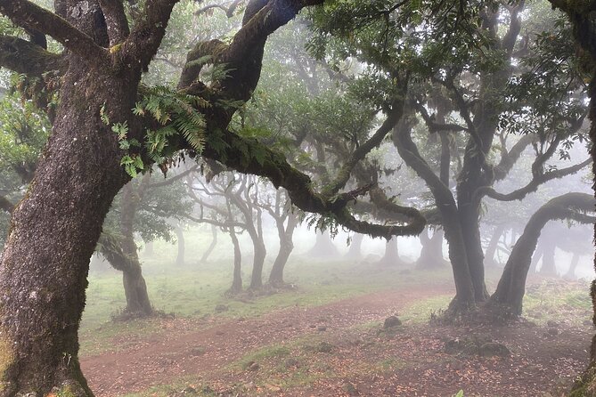 West Side Private Full Day Tours around Madeira Island - FAQ