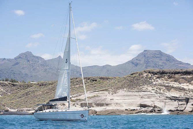 Whales & Dolphins watching in exclusive sailboat - FAQs