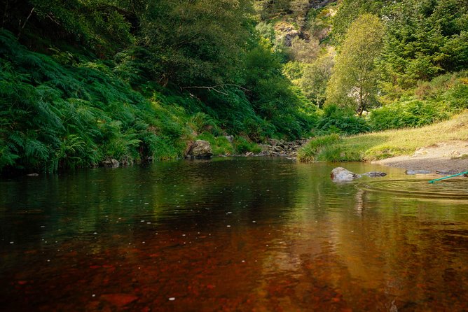 Wicklow Mountains Private Day Trip from Dublin - The Sum Up