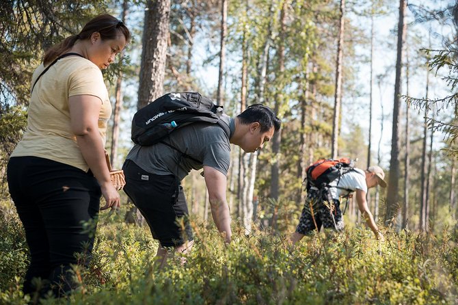 Wild Berries and Mushroom picking tour - FAQ