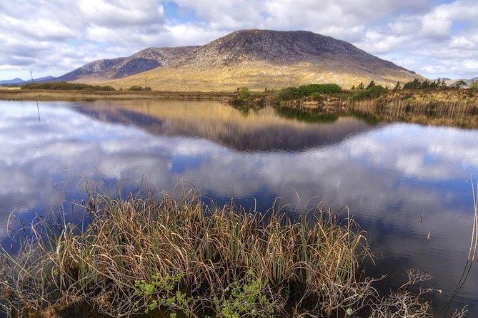Wild Brown Trout fishing. Lough Corrib. French speaking Ghillie/Guide. Full day. - Authenticity and Review Highlights