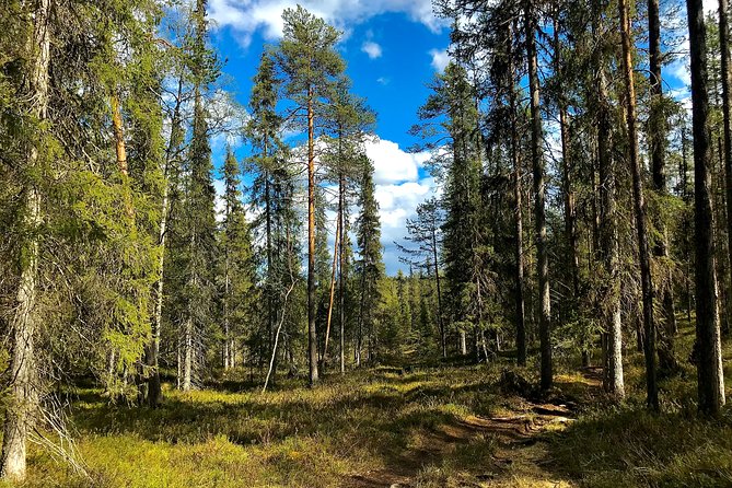 Wilderness Survival Tour - Summer & Autumn - Frequently Asked Questions