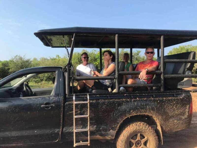 Yala National Park Safari from Ella (+ Jeep) - Deep Dive into the Itinerary and Experience