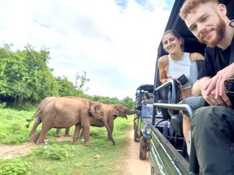 Yala, Udawalawe Safari & Elephant Home Lifetime Experience - FAQ
