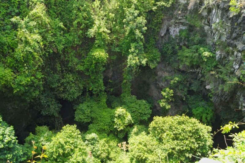 Yogyakarta: Jomblang Cave and Pindul Cave Adventure Trip - Final Thoughts