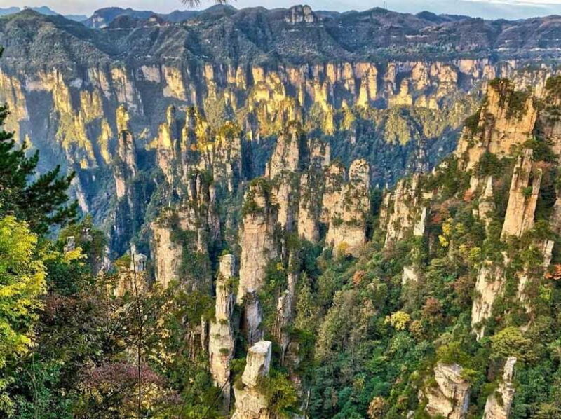 Zhangjiajie: Highlights Tour with Glass Bridge & Cable Car - Practical Tips for Travelers