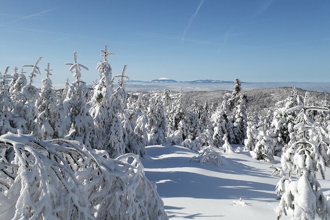 1-day Private Snowshoe Hike in the Gorce Mountains near Krakow - FAQs About the Snowshoe Hike in the Gorce Mountains