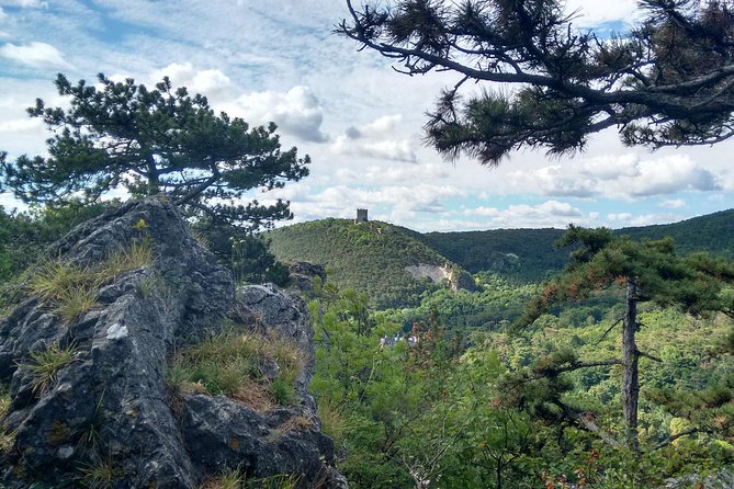 2-Hour Private Hiking Tour Helenental Castles Hike from Vienna - Who Should Consider This Tour?